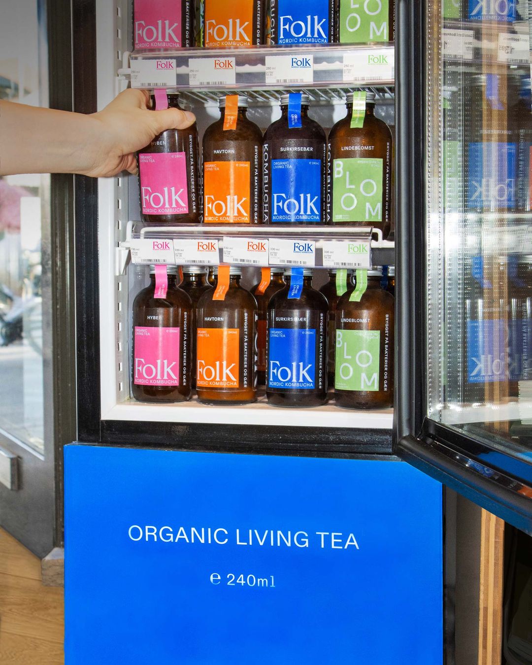Folk Kombucha